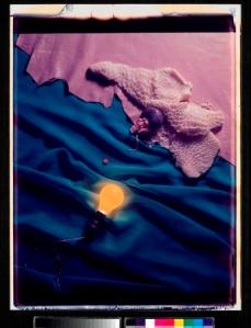 Meat illuminated: Helen Chadwick’s Meat Abstracts | IMAGE OBJECT TEXT